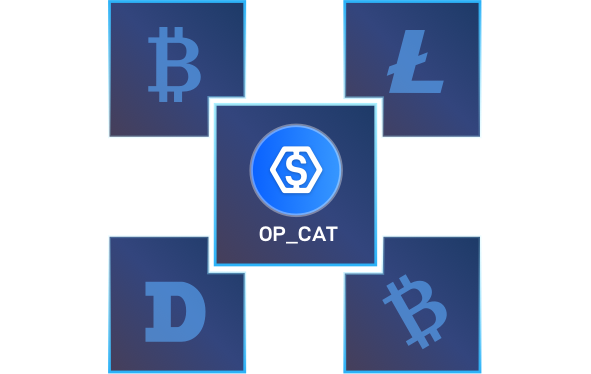 100Layer | WBTC/WFB/Stablecoin on CAT20, BRC2.0, BRC-20, Runes, RSM & BRC-100 by OP_CAT