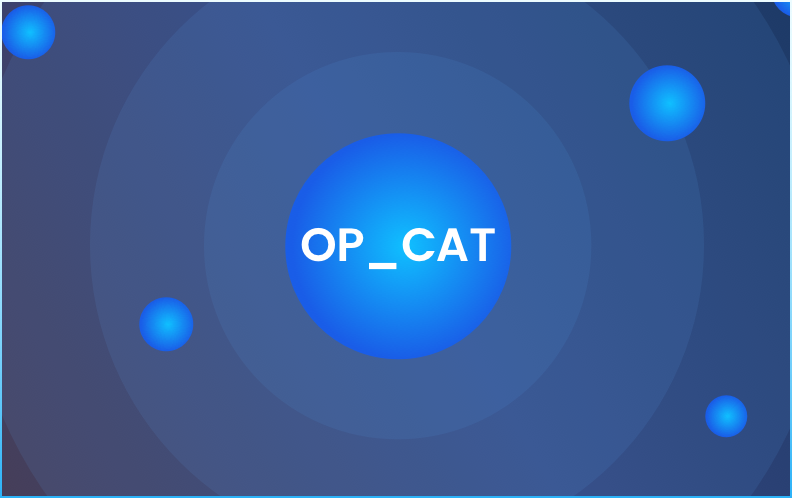 100Layer | WBTC/WFB/Stablecoin on CAT20, BRC2.0, BRC-20, Runes, RSM & BRC-100 by OP_CAT