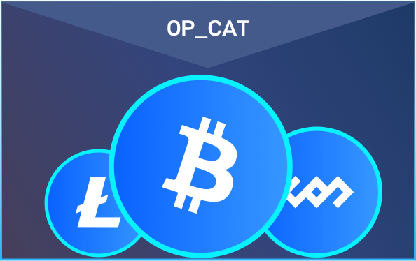 100Layer | WBTC/WFB/Stablecoin on CAT20, BRC2.0, BRC-20, Runes, RSM & BRC-100 by OP_CAT